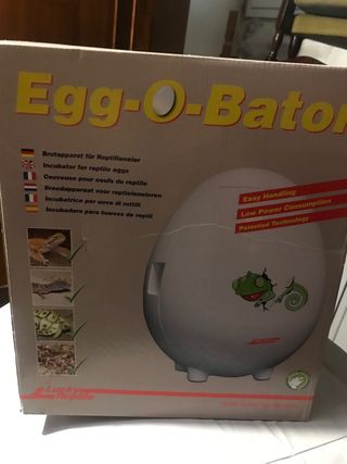 incubatrice per uova di rettili