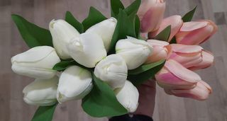 Tulipani finti