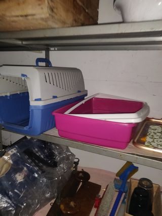 Lettiera per gatto