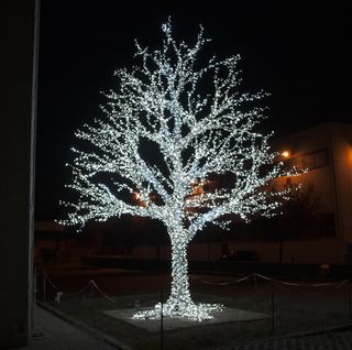 1000 Luci LED Albero di Natale