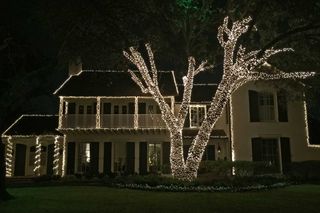 Tubo Luci Albero di Natale. Nuovo.