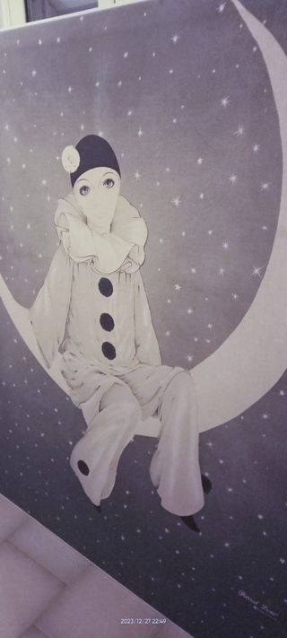 stampa in tela pierrot