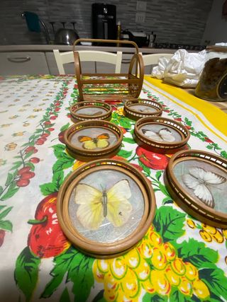 Set Sottobicchieri Farfalle 1970