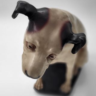 Perro NIPPER de segunda mano por 900 EUR en Seregno en WALLAPOP