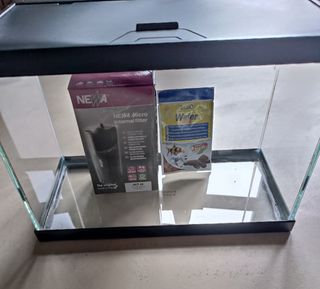 Acquario con pompa di filtraggio acqua