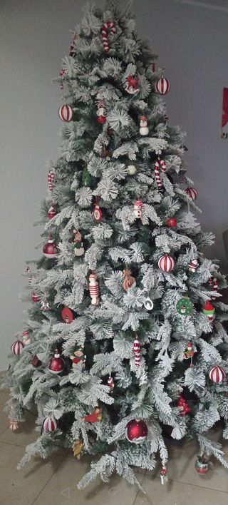 Albero di natale