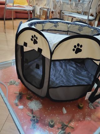 Box gatti e cani taglia piccola