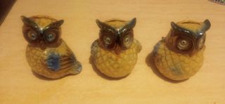 3 stupendi Gufi salvadanaio in ceramica