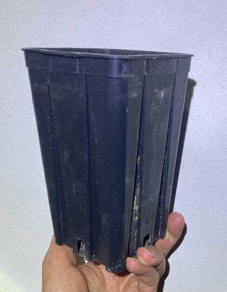 vasi in plastica  10x10x17 per piante 40pz