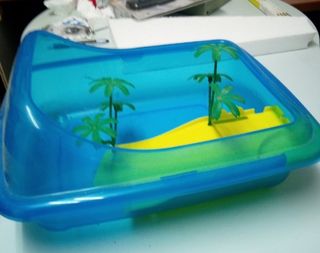 Acquario per tartarughe