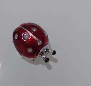 Coccinella