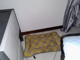 Materassino sfoderabile cane