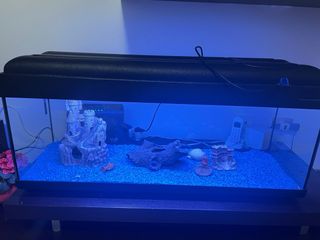 acquario 120 L