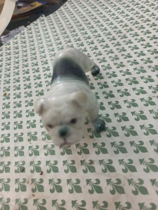 Statuina porcellana cane