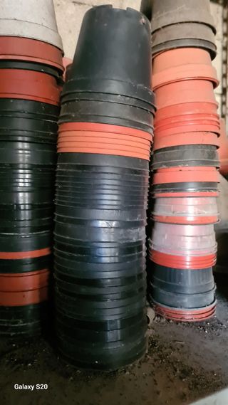 300 vasi misura 14 cm