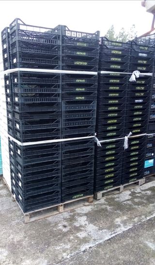 Cassette di plastica