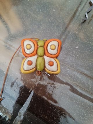 Farfalla Thun vedi foto