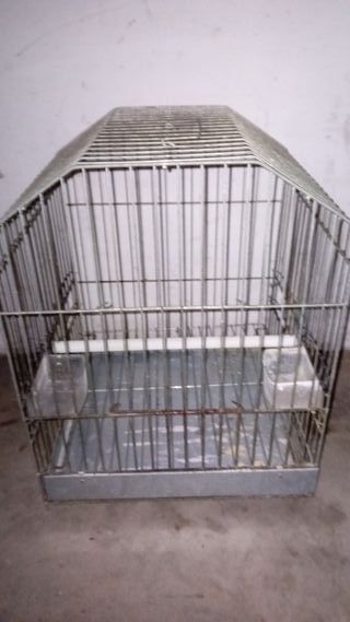 Gabbia