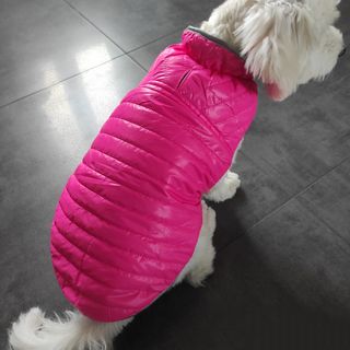 Cappottino impermeabile reversibile Cani