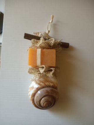 Saponetta conchiglie