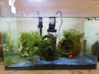Acquario 40 lt.