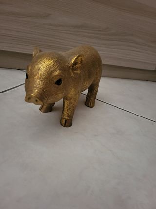 Maialino oro