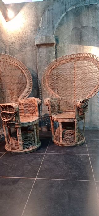 2 pavone Emmanuelle Peacock