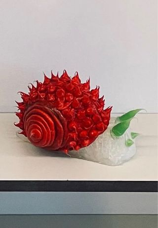 Lumachina Vittorio Valente
