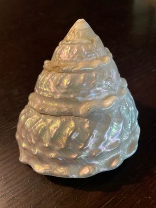 conchiglia madreperla