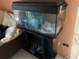 vendo acquario