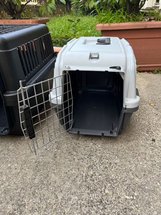 box per gatto/cane piccolo