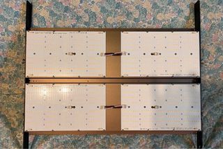 Lampada led quantum samsung 561c