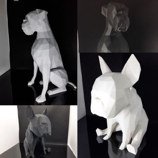 bulldog francese/boxer