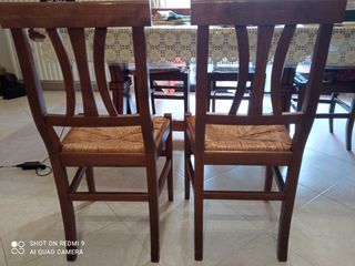 6 sedie in legno sala arte povera