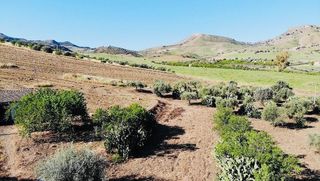 Terreno agricolo 46000mt.