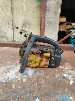 Motosega alpina