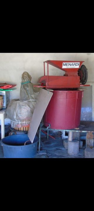 Vendemmia