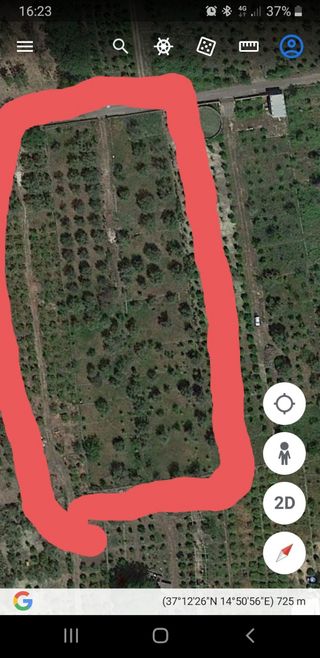 Giardino uliveto,zona Mastrocciardi