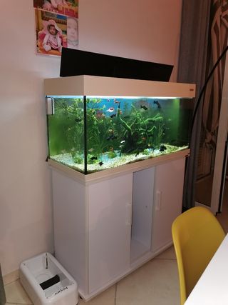 Acquario WAVE 190 litri