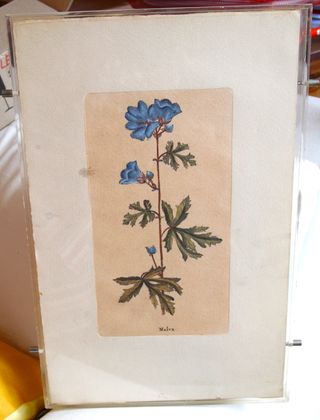 due stampe incorniciate