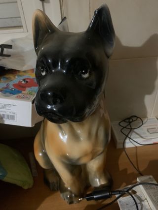 cane ceramica