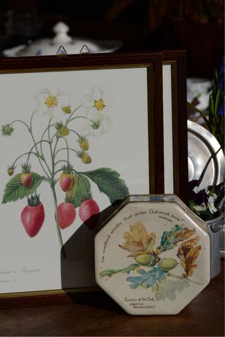 Set 2 cornici con stampe J.Redoute