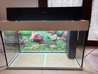 acquario Juwell Rio 125