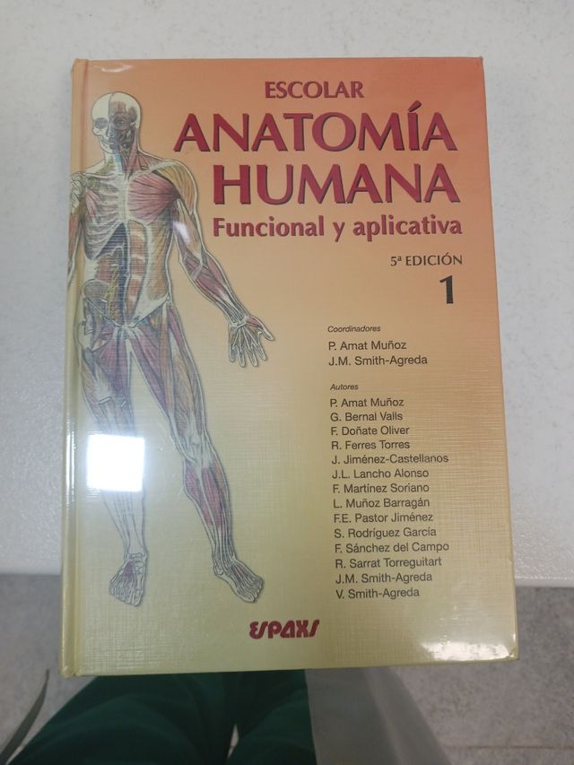 Anatomía Humana Funcional